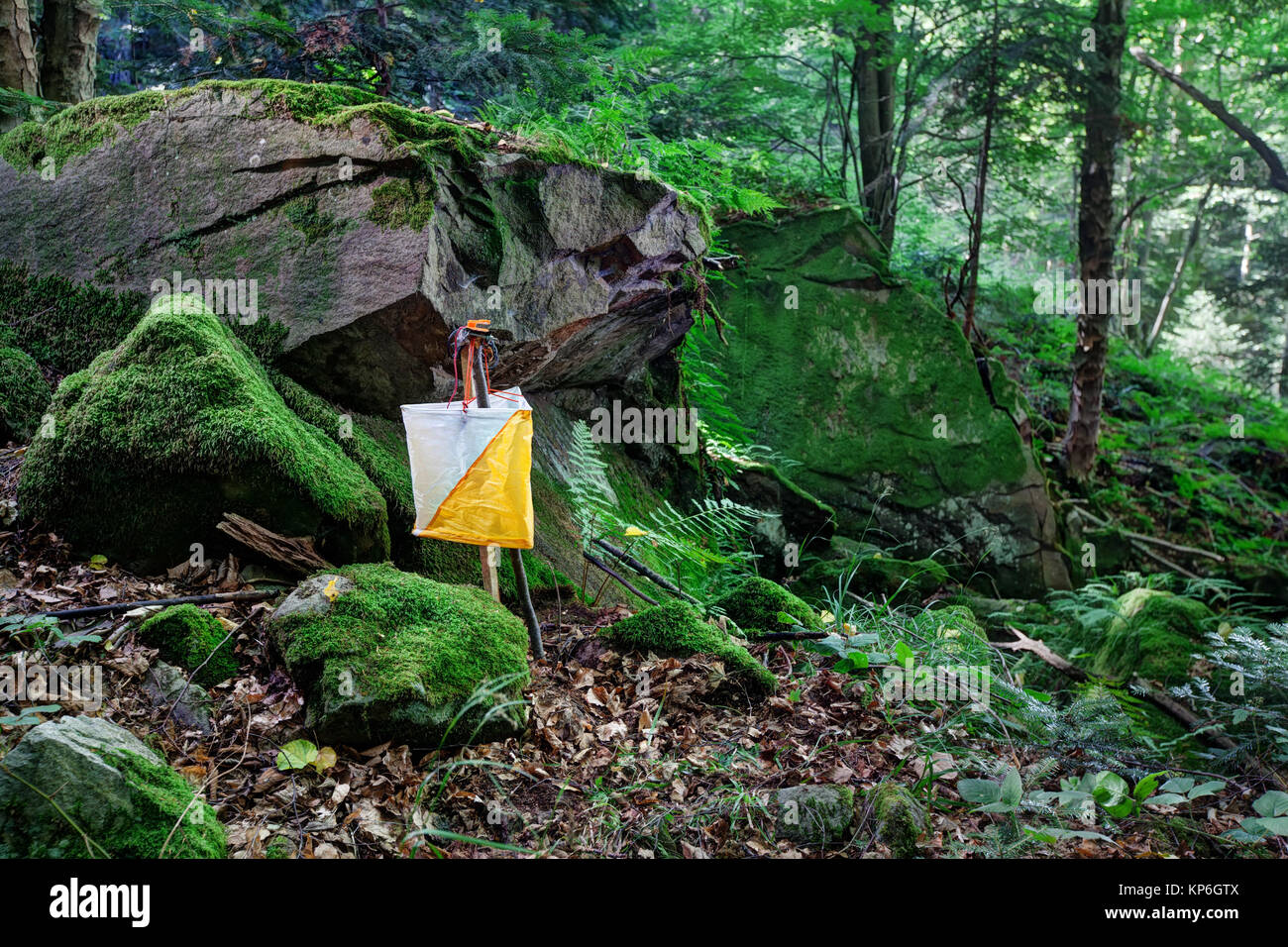 Control point symbol Stock Photo - Alamy