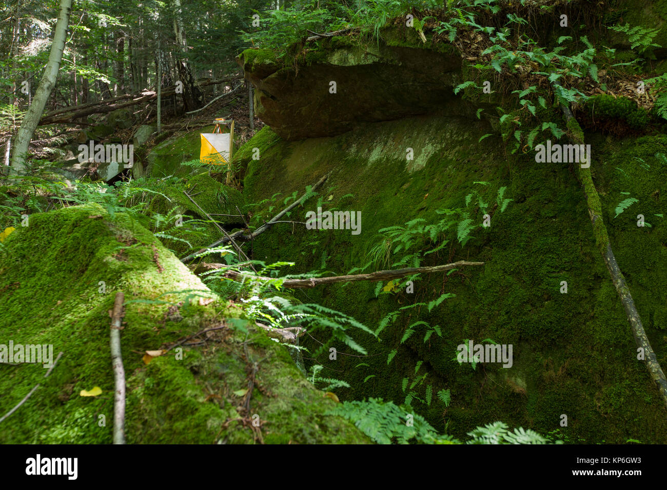Control point symbol Stock Photo - Alamy
