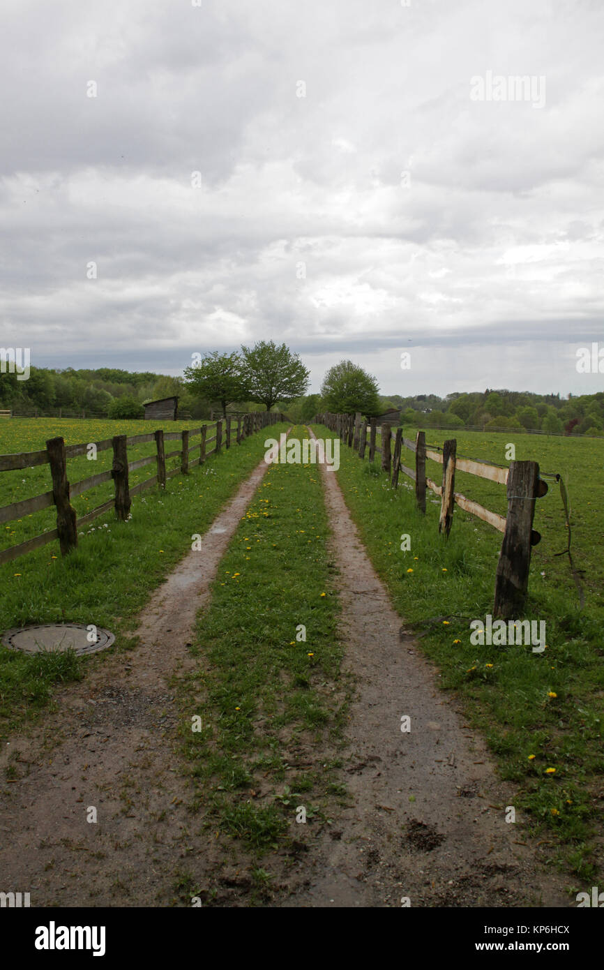 Bucolic lane hi-res stock photography and images - Alamy
