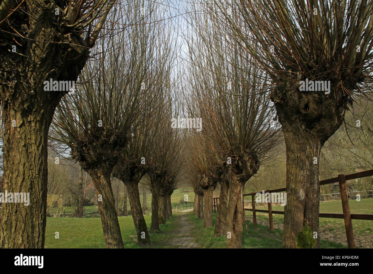 Weidenallee hi-res stock photography and images - Alamy