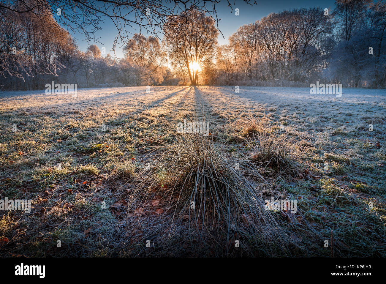 Frost park scotland person hi-res stock photography and images - Alamy