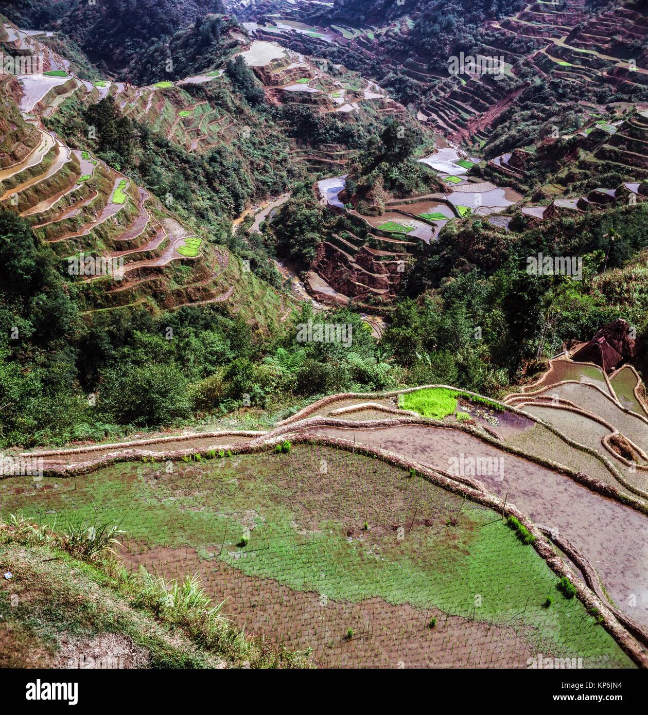 Ifugao culture hi-res stock photography and images - Alamy