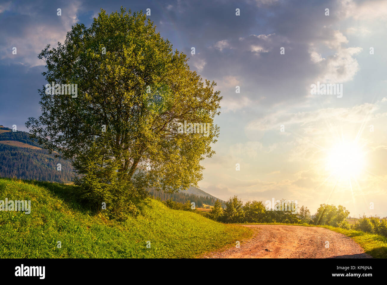 Hillside road hi-res stock photography and images - Alamy