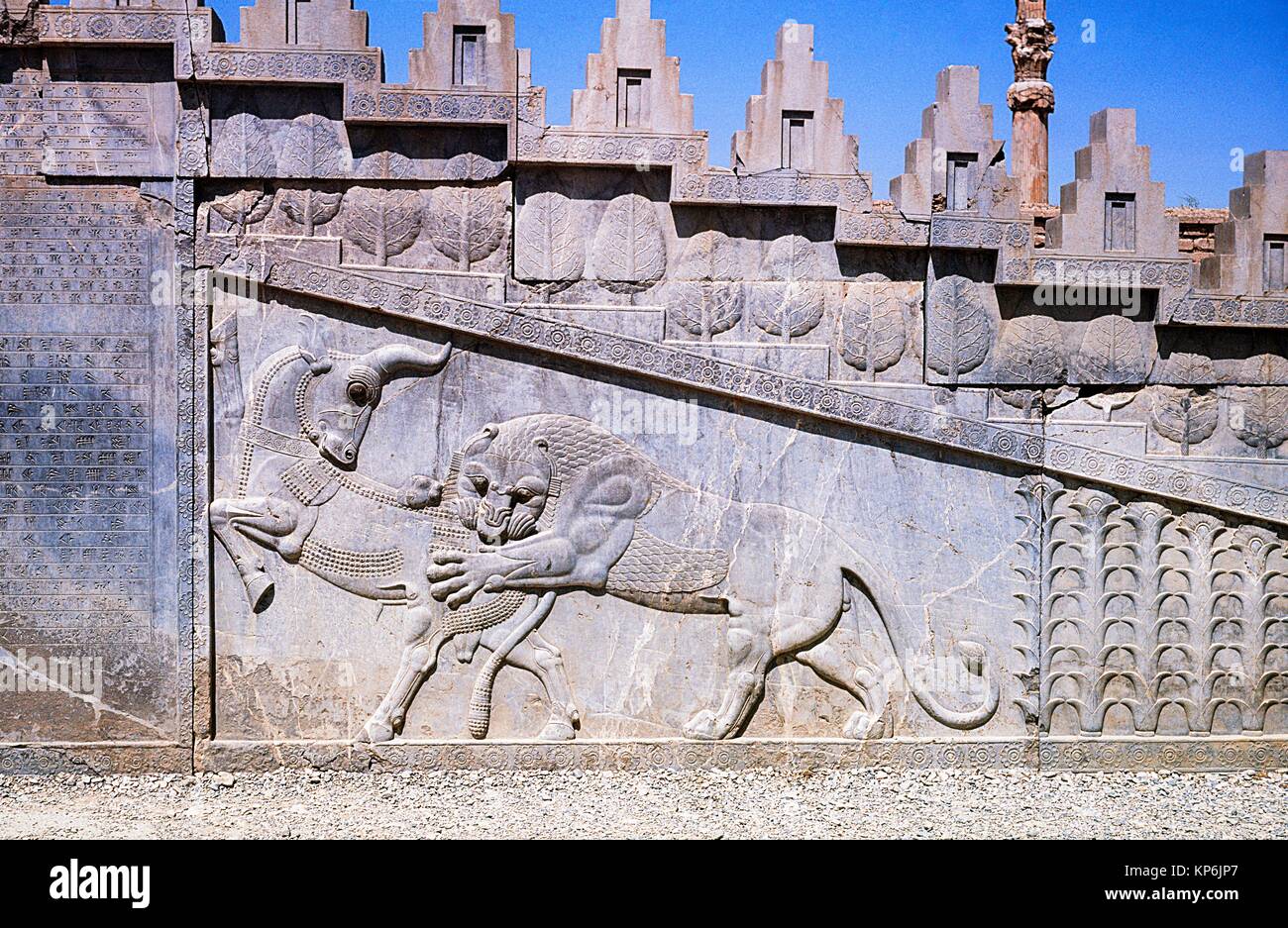 Bull lion stairs persepolis hi-res stock photography and images - Alamy