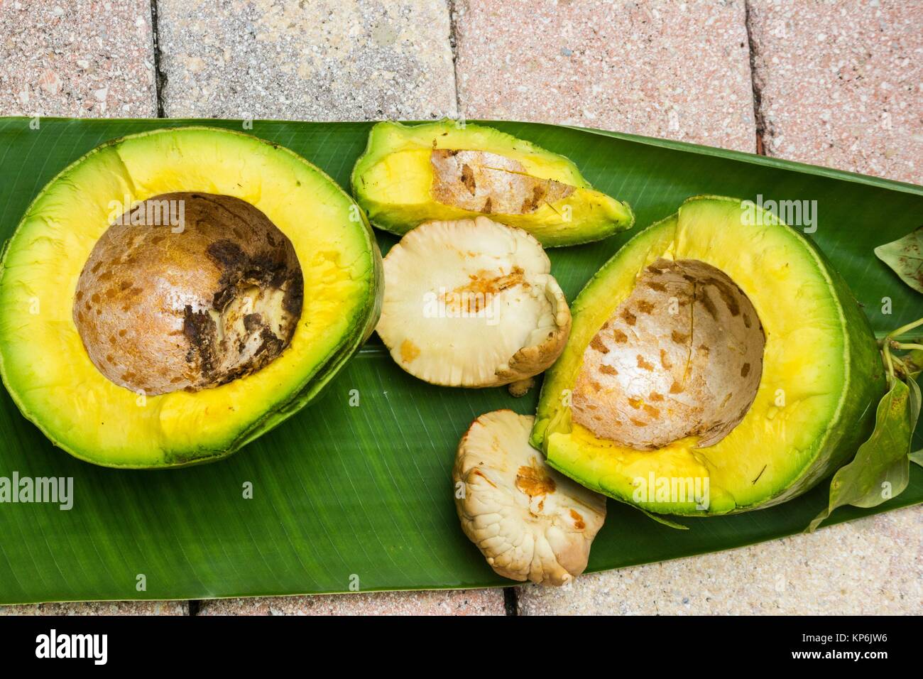 Florida Avocado High Resolution Stock Photography and Images - Alamy