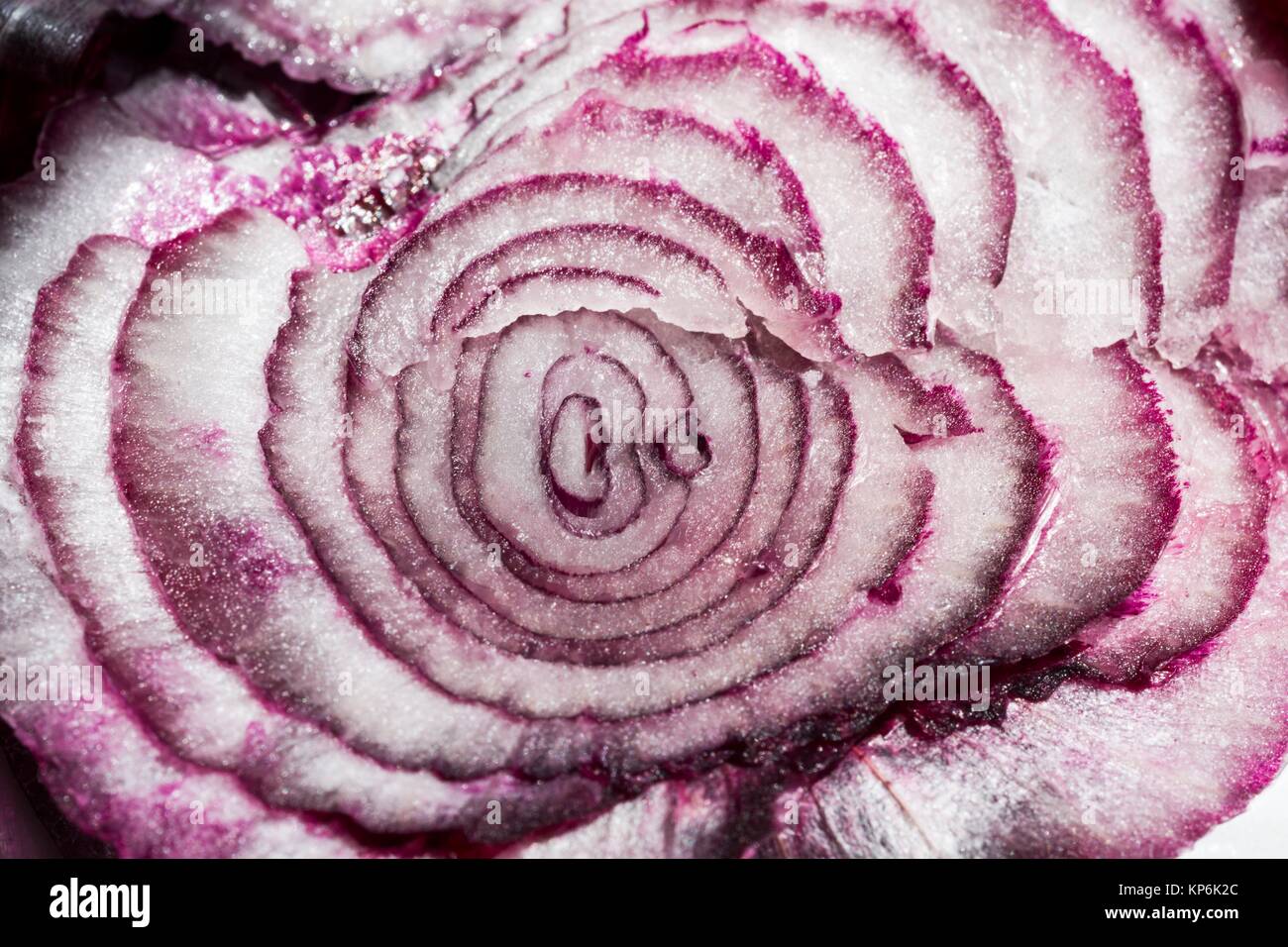 Bulb cross section hi-res stock photography and images - Alamy