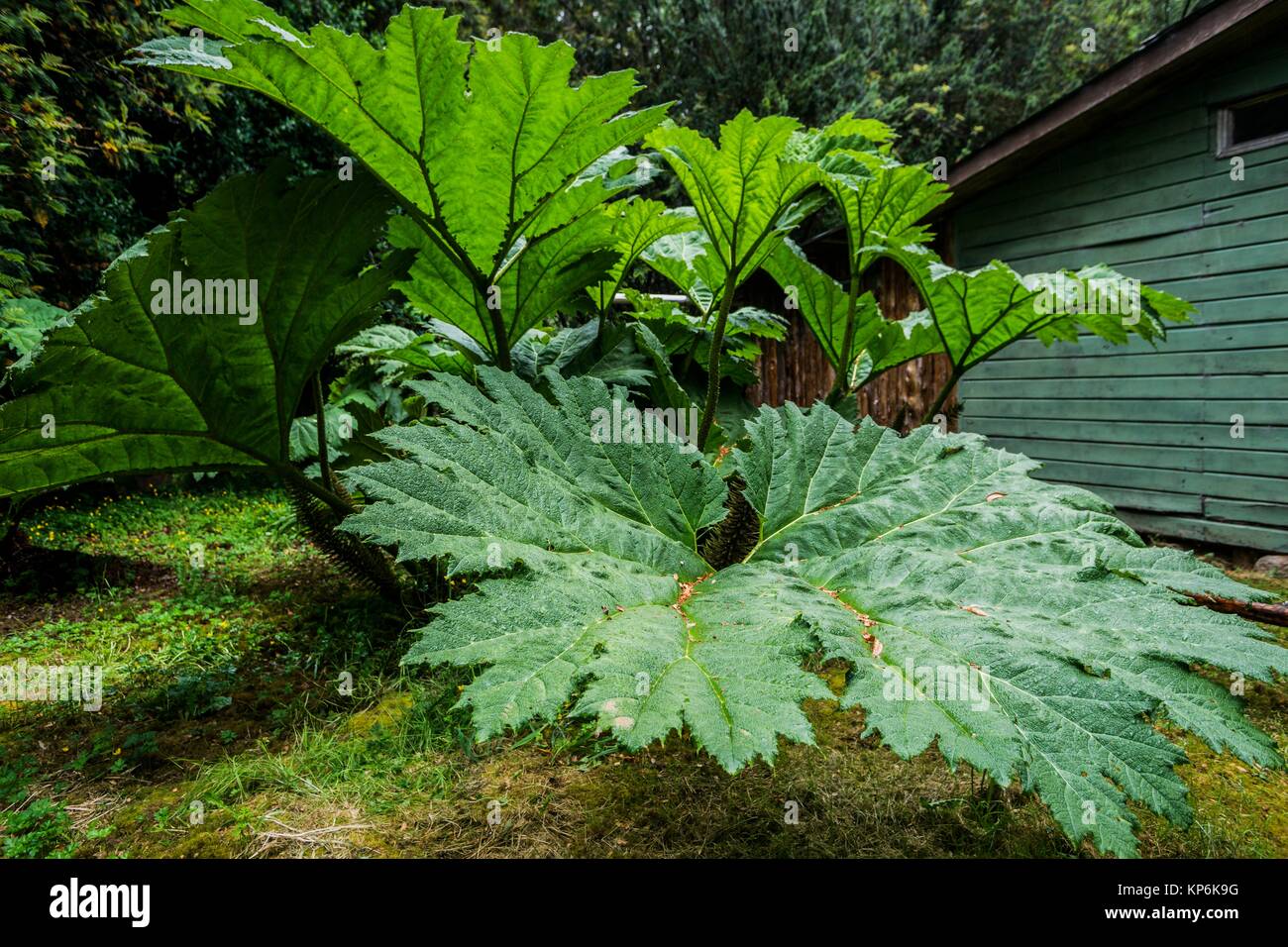 Recursos Naturales High Resolution Stock Photography and Images - Alamy