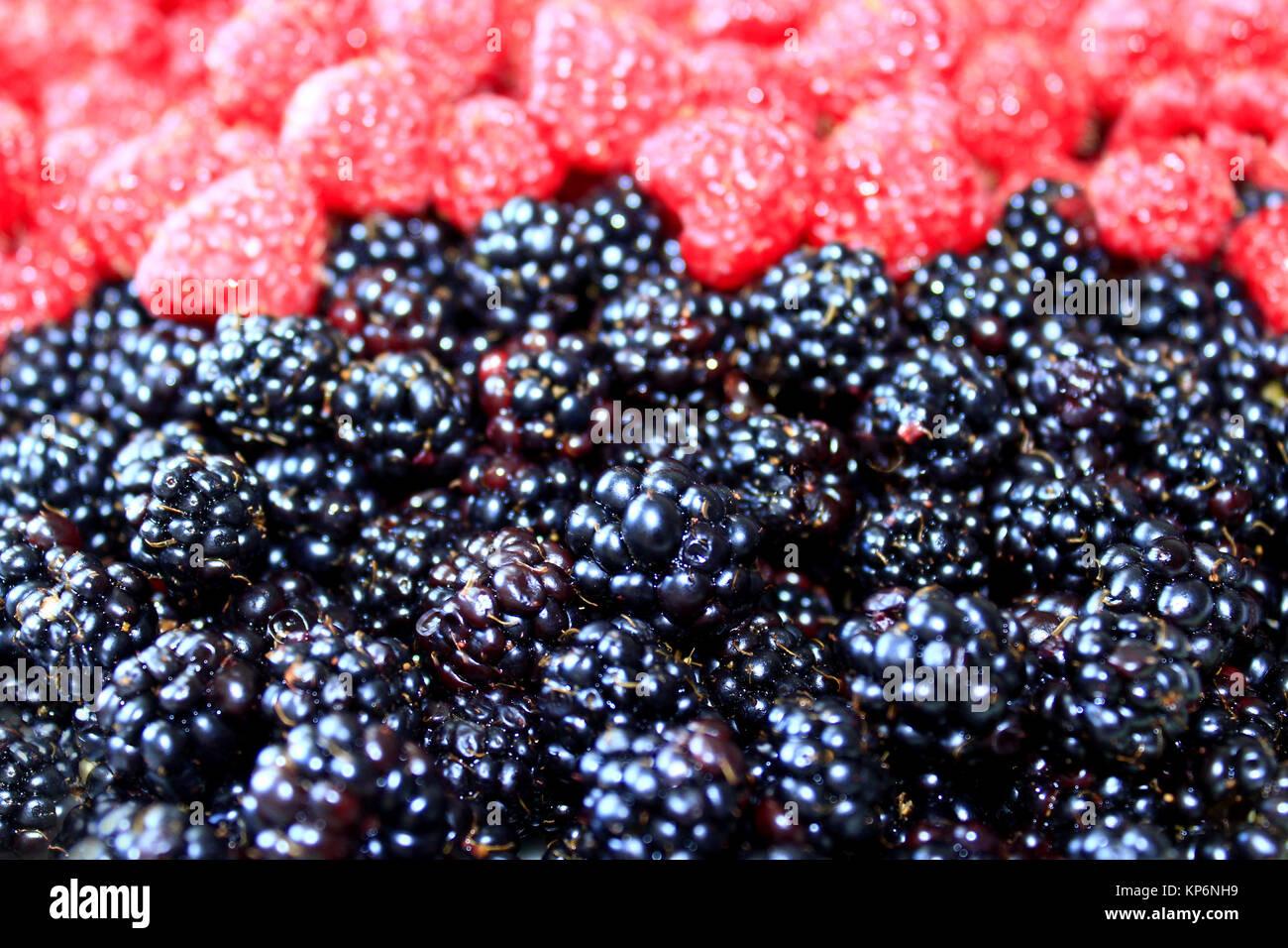 blackberries and raspberry Stock Photo - Alamy