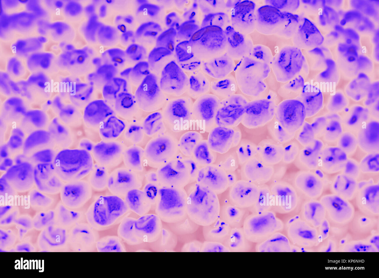 molecules enlarged under a microscope Stock Photo - Alamy