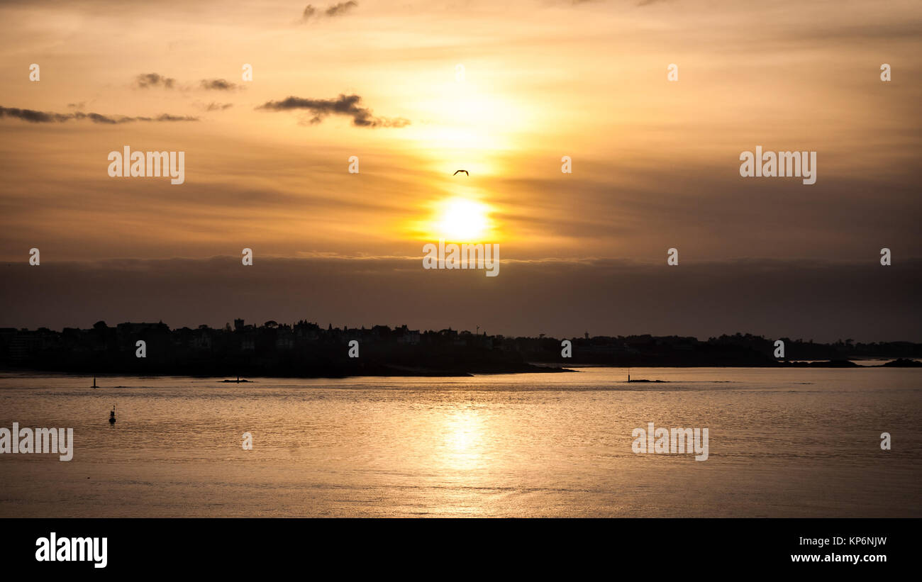 Sunset and bird Stock Photo - Alamy