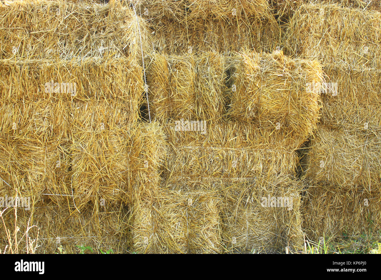 Hay packet hi-res stock photography and images - Alamy