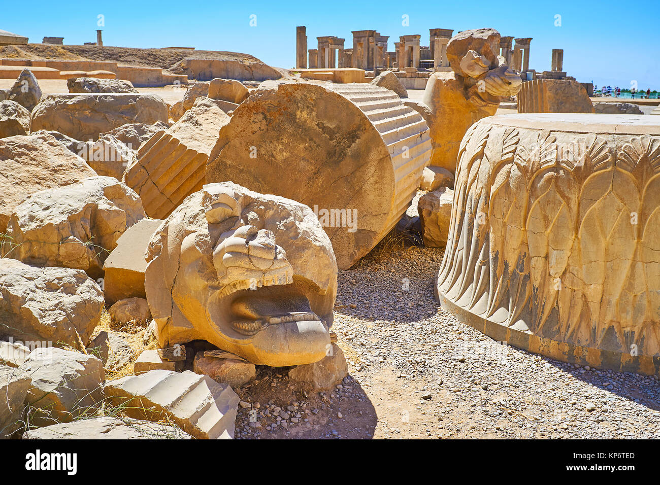 The ruined columns of Apadana palace (Audience Hall) with the site of ...