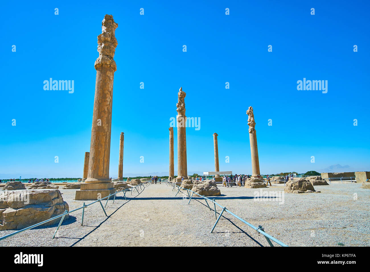 The preserved stone columns of Apadana palace, Audience Hall of ancient ...
