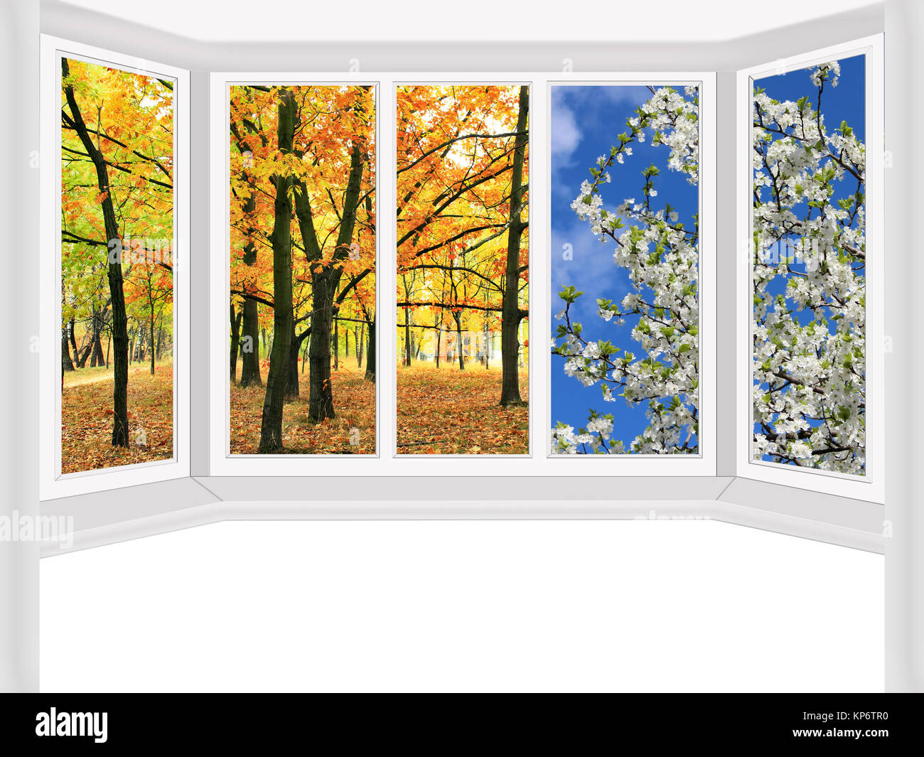 window overlooking the autumn park and spring trees Stock Photo - Alamy