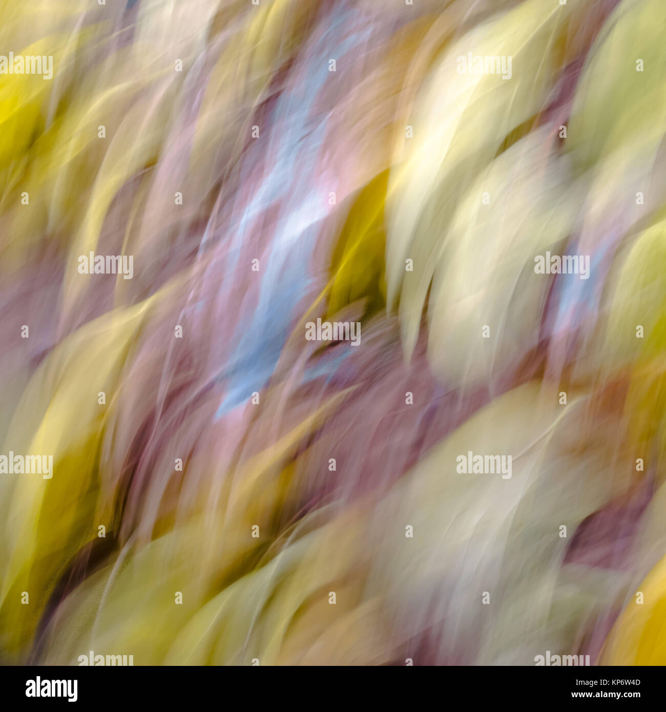 Colorful abstract movement pattern, vibrant textured background Stock ...