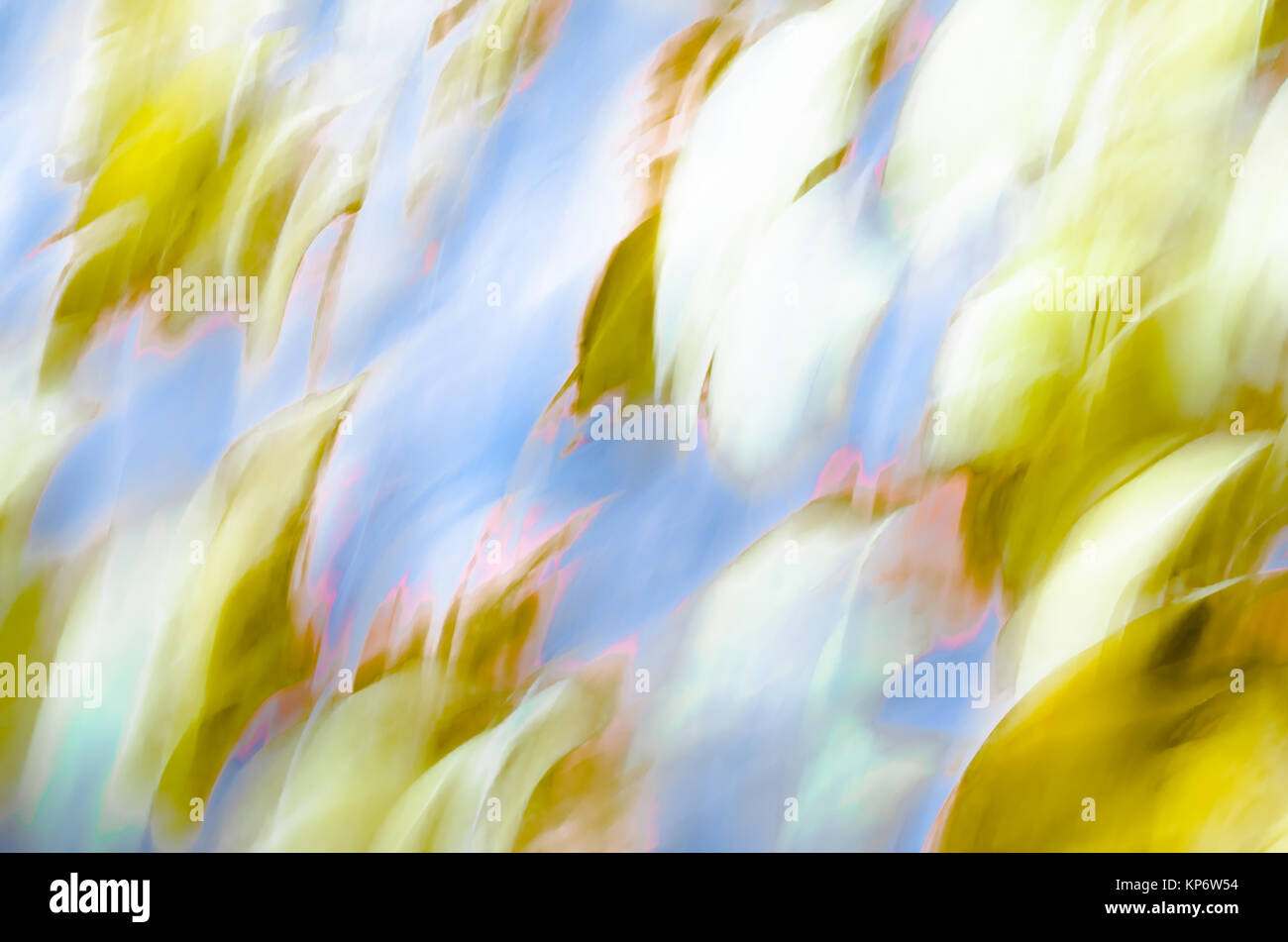 Colorful abstract movement pattern, vibrant textured background Stock ...