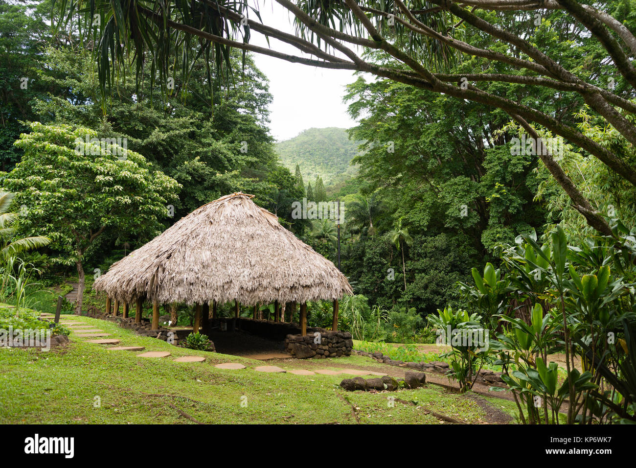 Tropical Hut Structure Hawaii Forest Straw Plant Roof Stock Photo - Alamy
