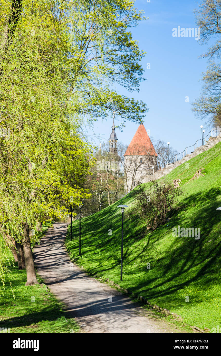 Park in Tallinn, a beautiful spring day Stock Photo - Alamy