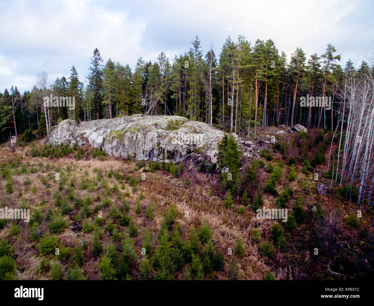 A large rock and forest Stock Photo - Alamy
