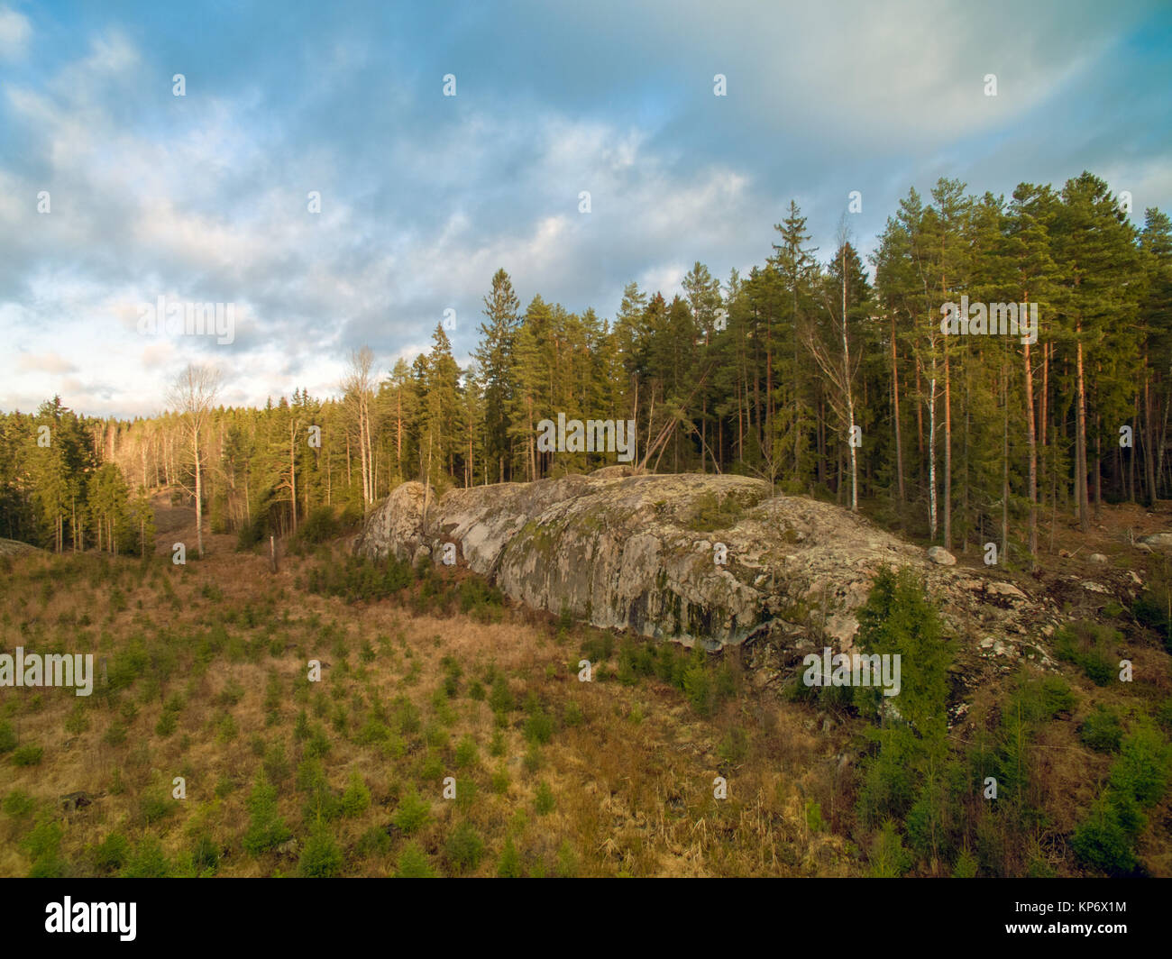 Large rock in the woods Stock Photo - Alamy