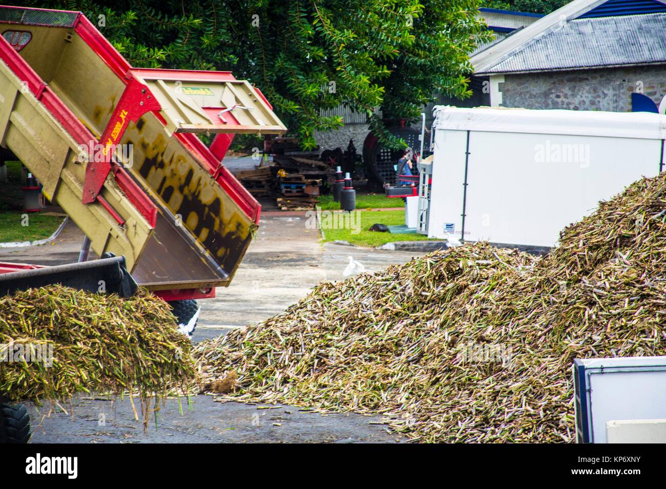 Container truck caribbean hi-res stock photography and images - Alamy