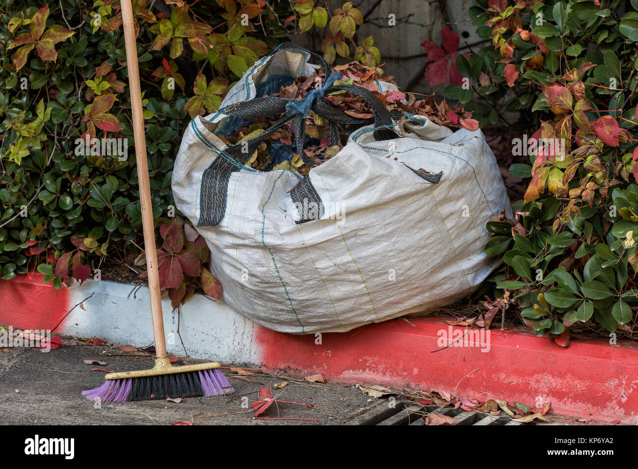 Street cleaning - broom, garbage bag and yellow, fallen leaves Stock ...