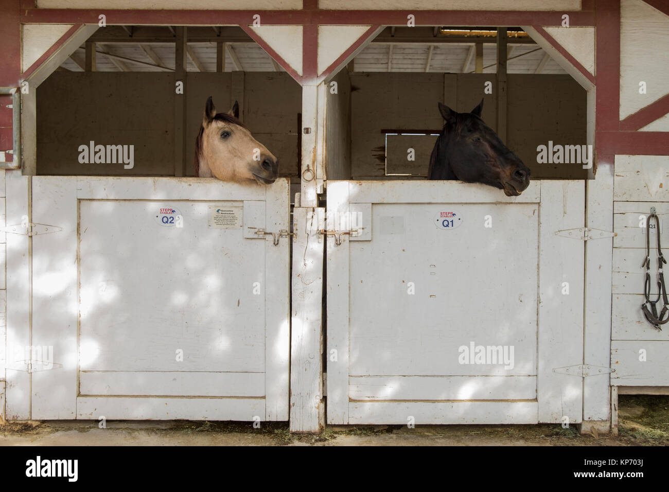 Stepp stables hi-res stock photography and images - Alamy