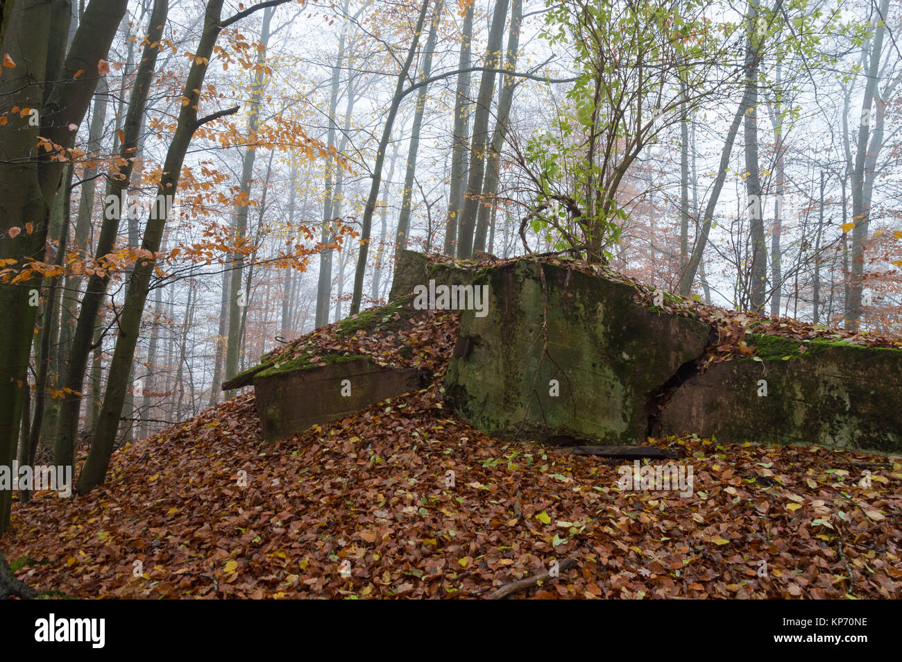 German ww2 military fortification hi-res stock photography and images ...
