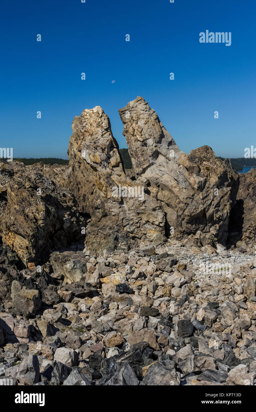 along the Big Obsidian Flow Trail in Newberry National Volcanic Monument, central Oregon, USA ...