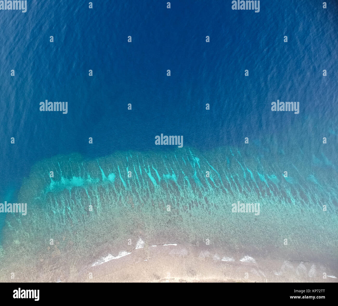 Blue Water, Coral and Beach Stock Photo - Alamy