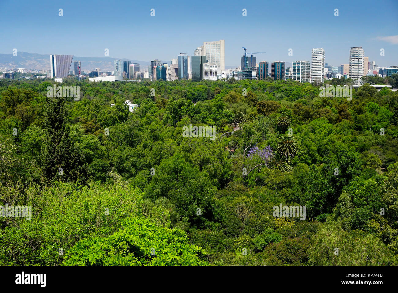 Chapultepec Park, Mexico City, Mexico Stock Photo - Alamy