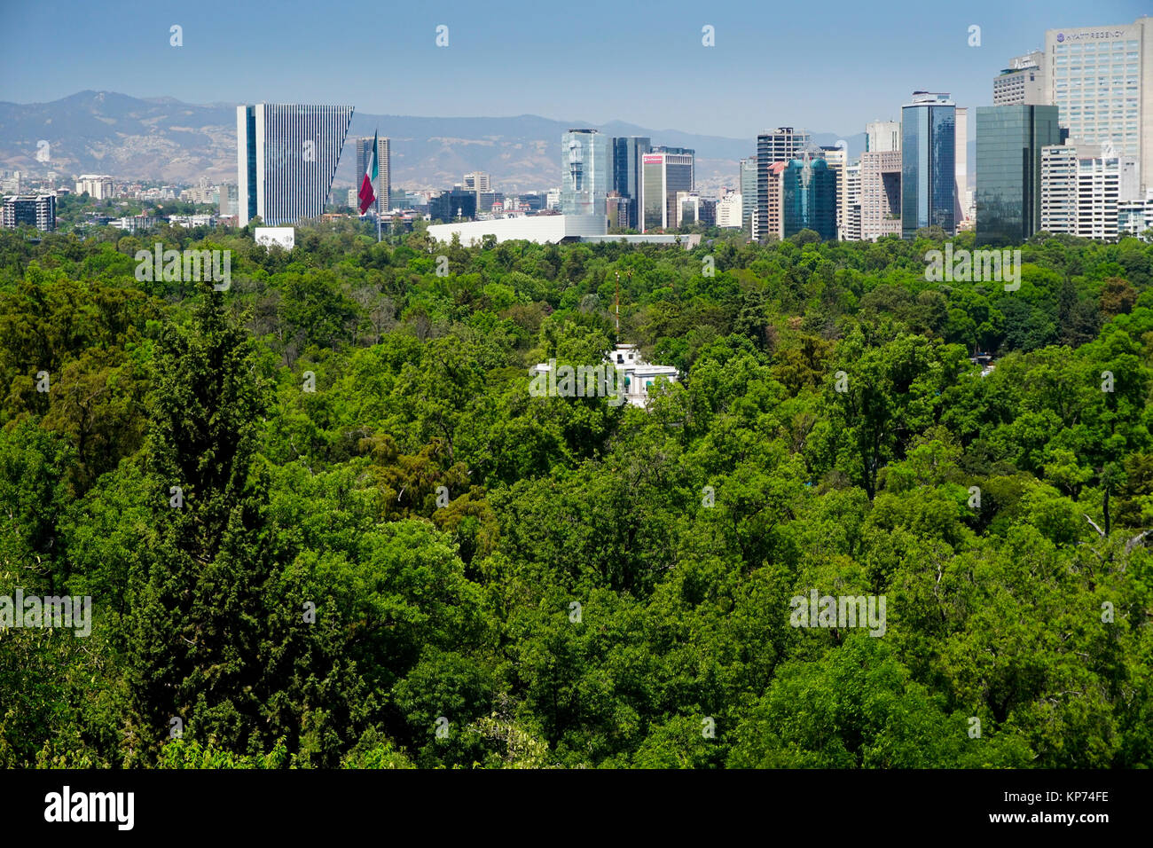Bosque de chapultepec forest hi-res stock photography and images - Alamy