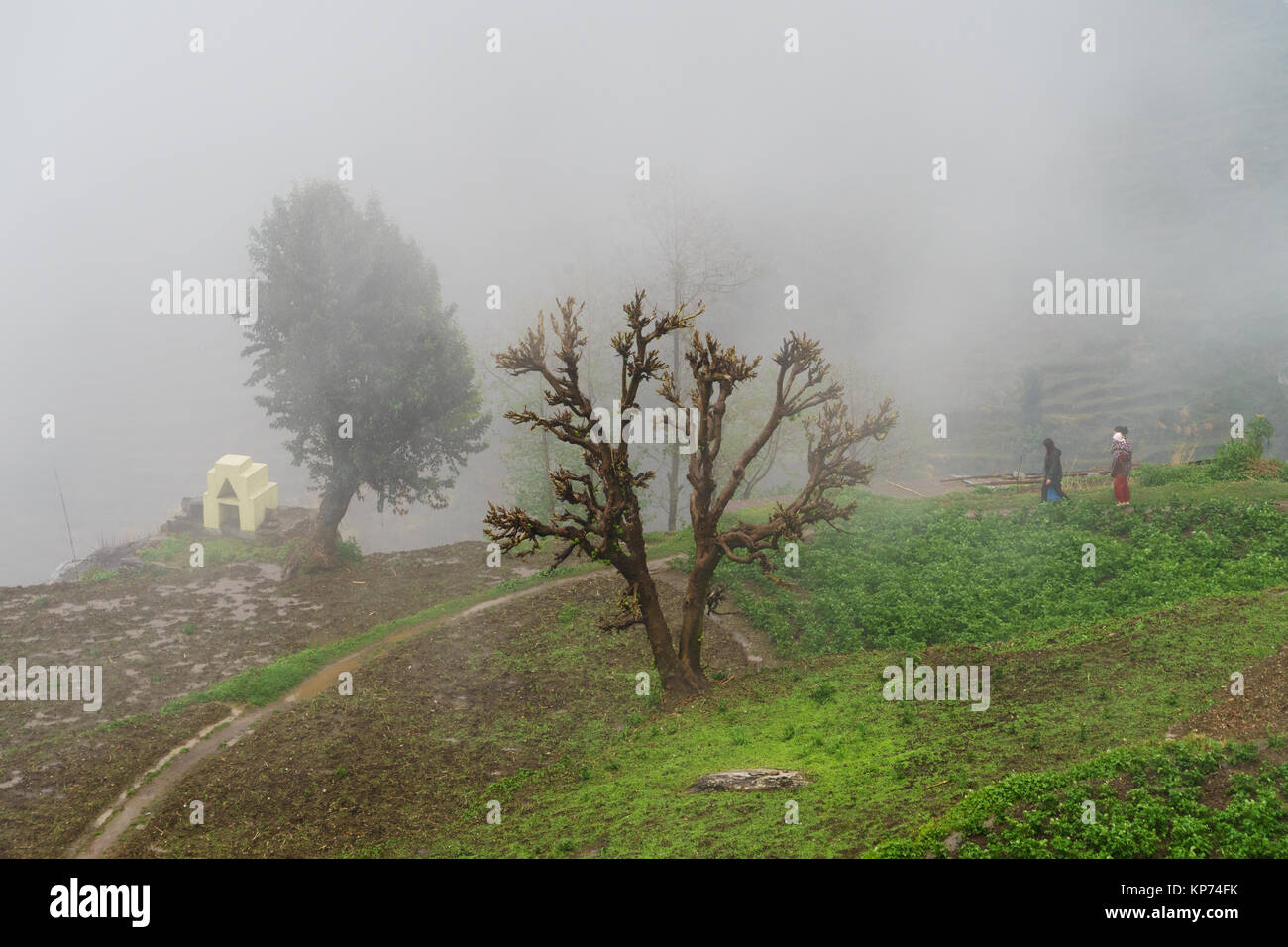 Two women and a baby walking through the mist in Ulleri, Annapurna ...