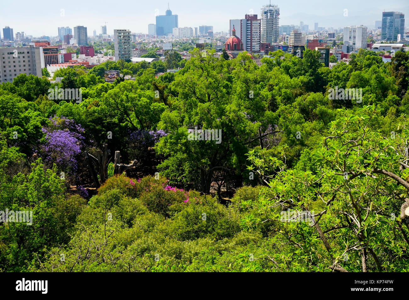 Chapultepec Park, Mexico City, Mexico Stock Photo - Alamy