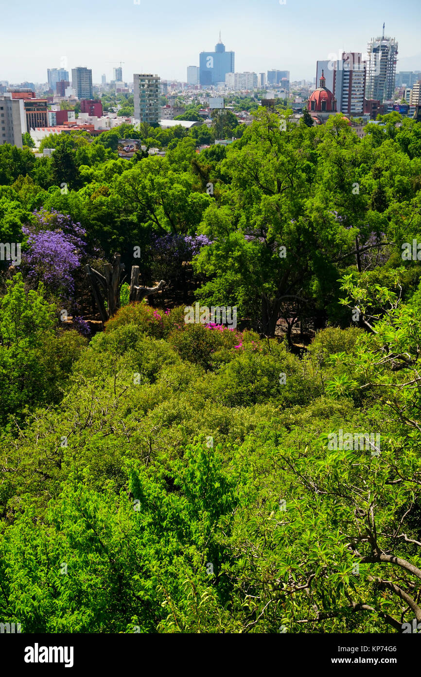 Bosque de chapultepec forest hi-res stock photography and images - Alamy