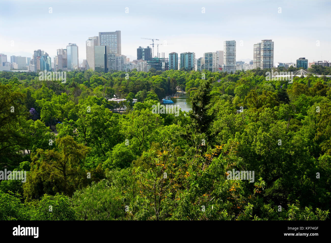 Bosque de chapultepec forest hi-res stock photography and images - Alamy