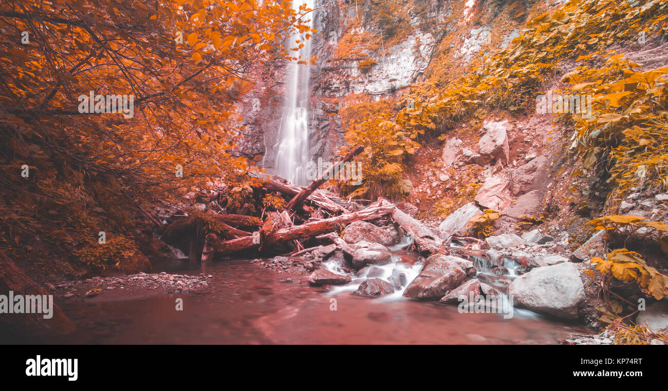 Soft autumn landscape view of Maral Waterfall. Borcka, Macahel,Artvin ...