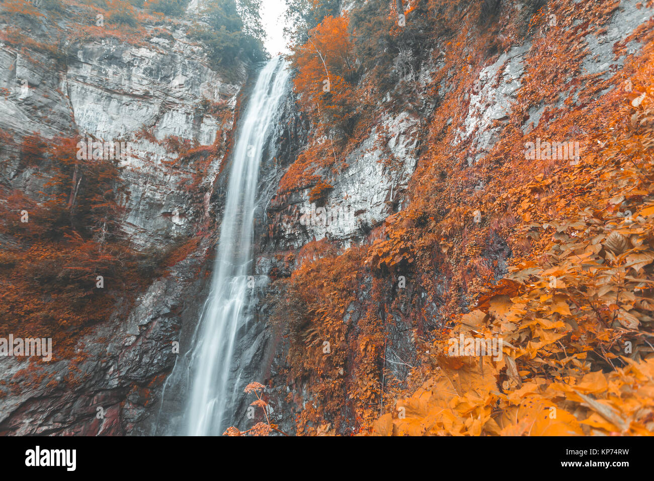 Soft autumn landscape view of Maral Waterfall. Borcka, Macahel,Artvin ...