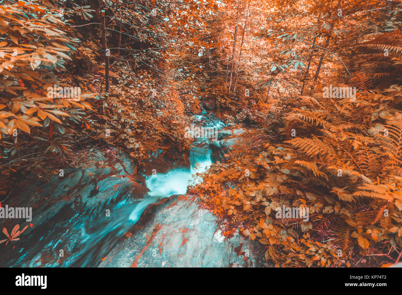 Soft autumn landscape view of Maral Waterfall. Borcka, Macahel,Artvin ...