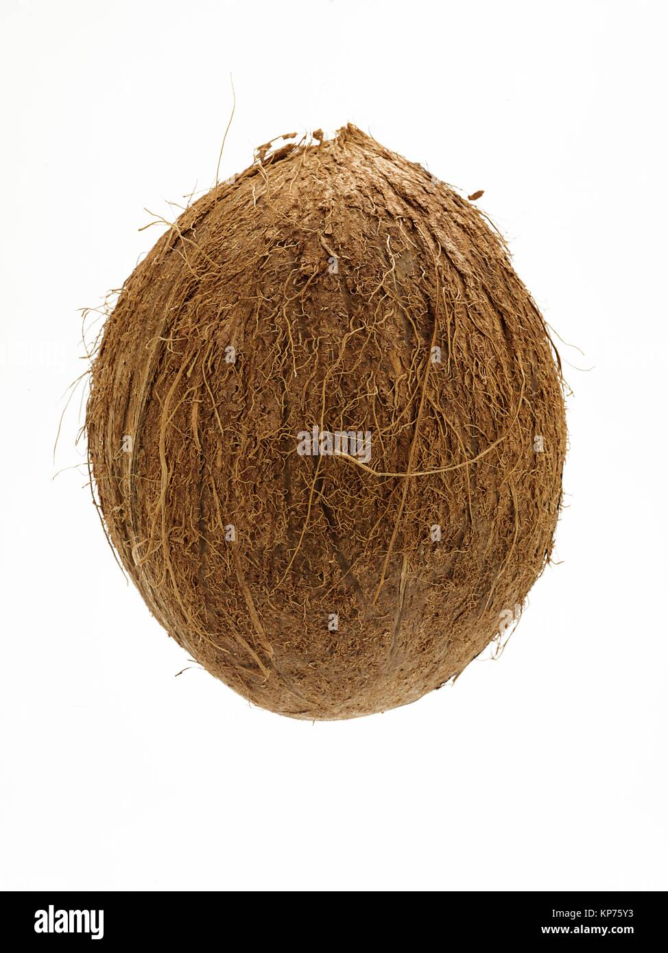 Coconut textures hi-res stock photography and images - Alamy