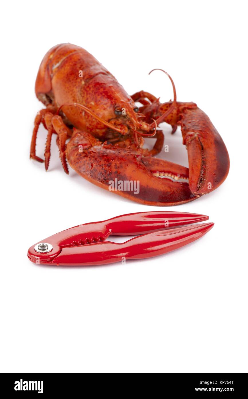 cooked lobster with lobster cracker Stock Photo - Alamy