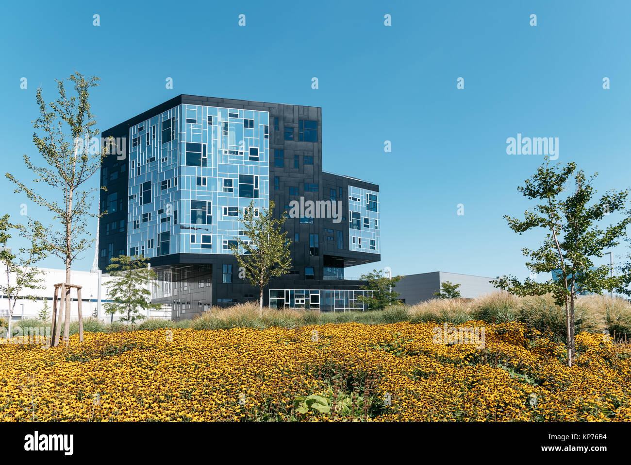 Executive Academy building in the University of Vienna Stock Photo - Alamy