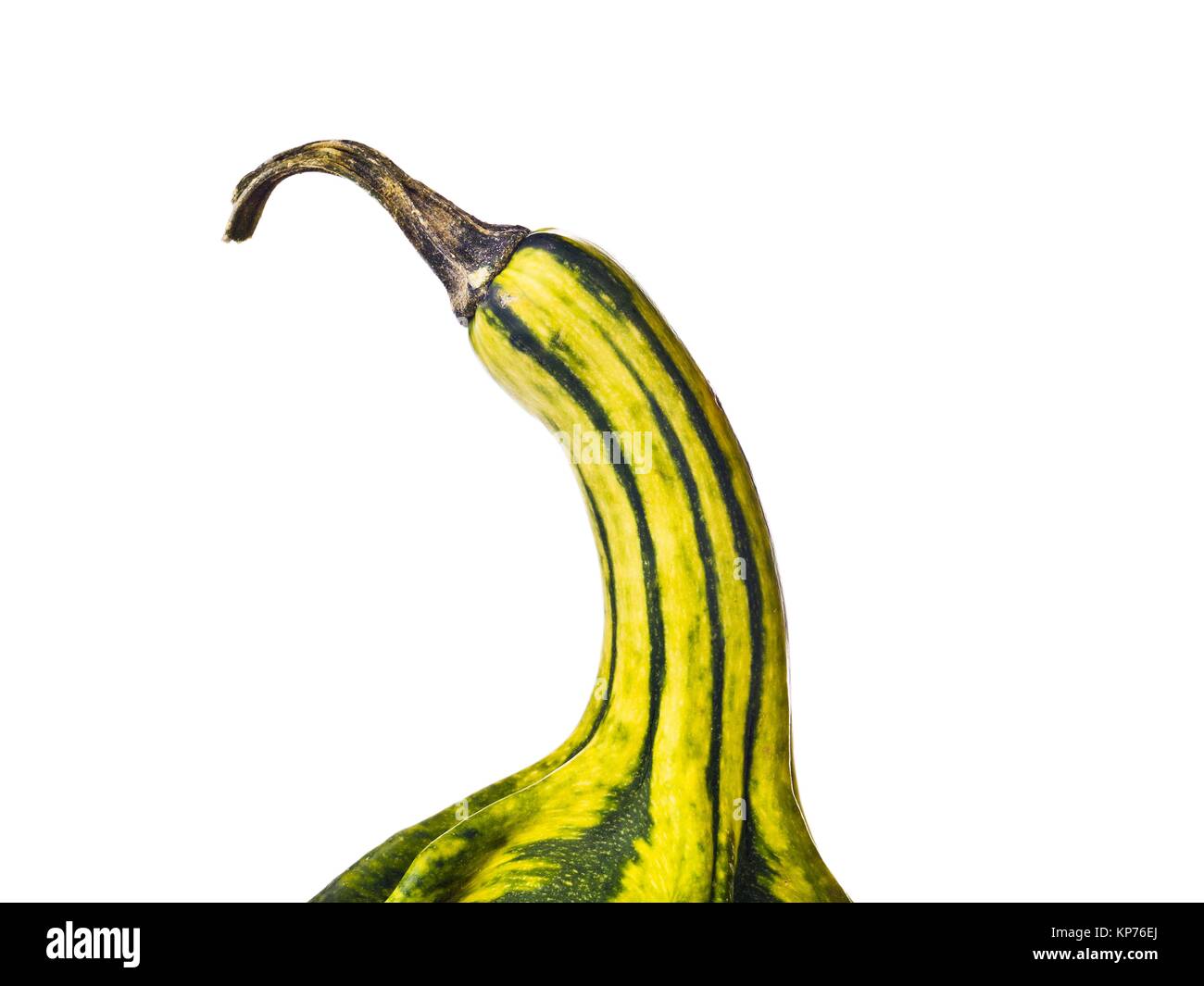 Cushaw hi-res stock photography and images - Alamy