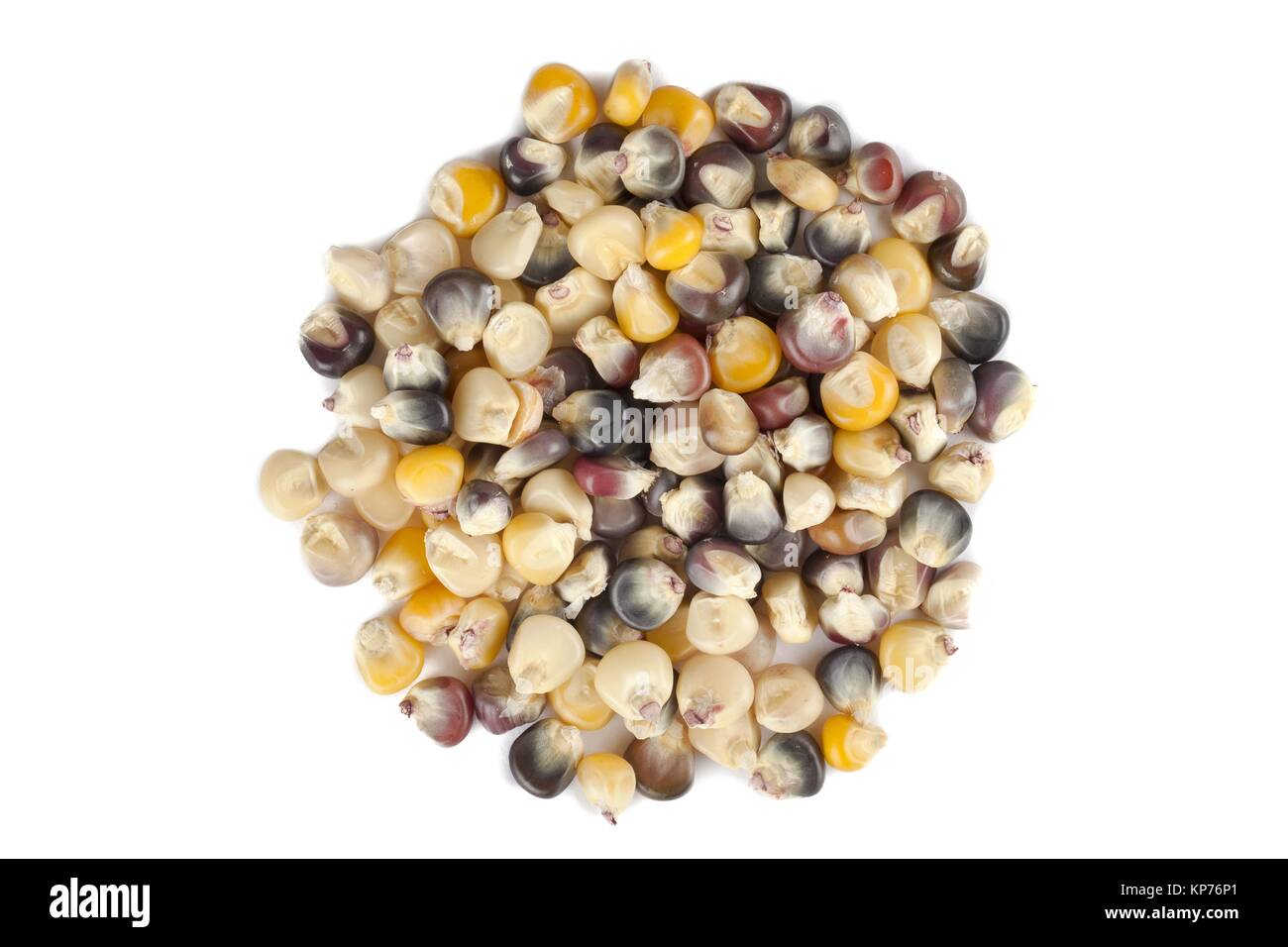 dried kernel corn Stock Photo - Alamy