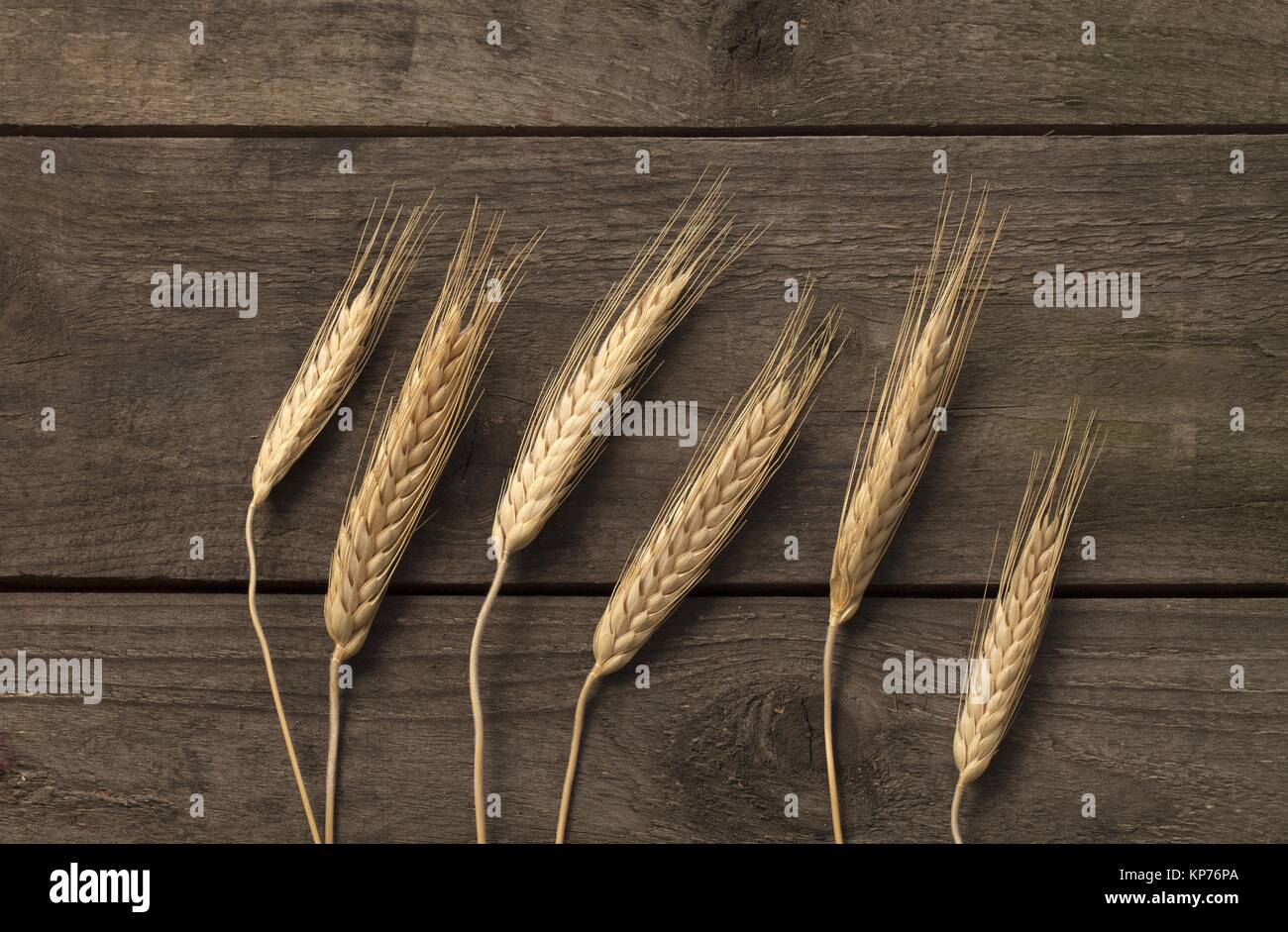 dried rye ears Stock Photo - Alamy