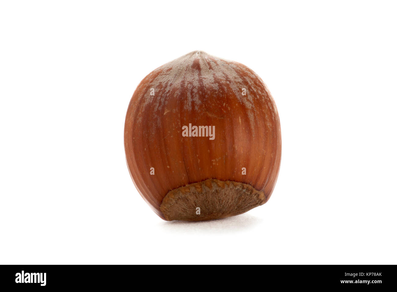 Hazel cook Cut Out Stock Images & Pictures - Alamy