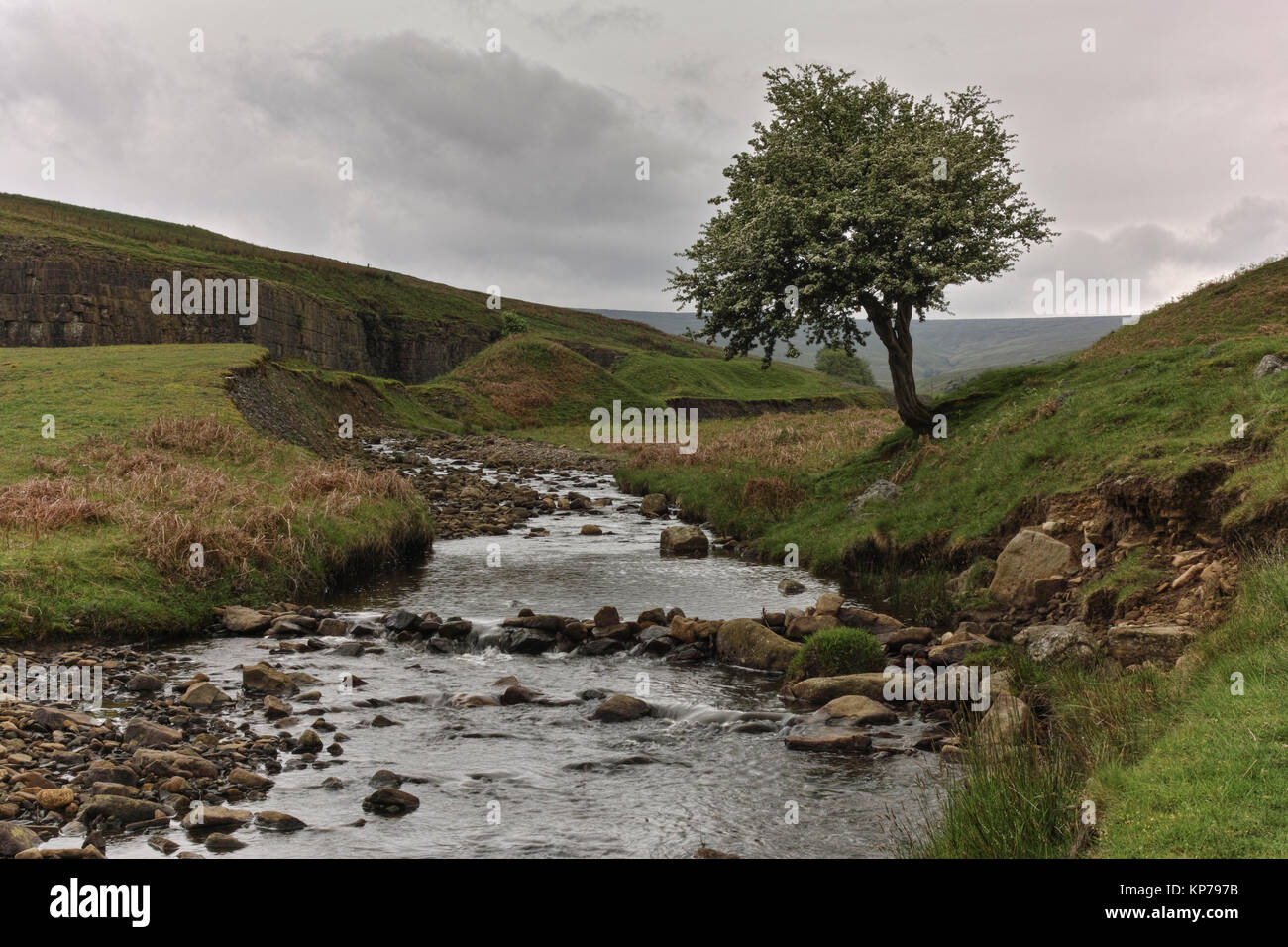 Bollihope burn winding through the fells in Weardale in County Durham a ...