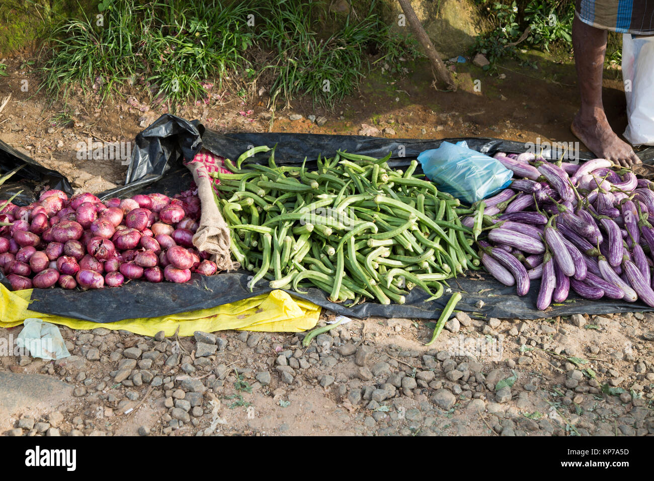 Fruit and vegetable market, Haputale, Badulla District, Uva Province ...