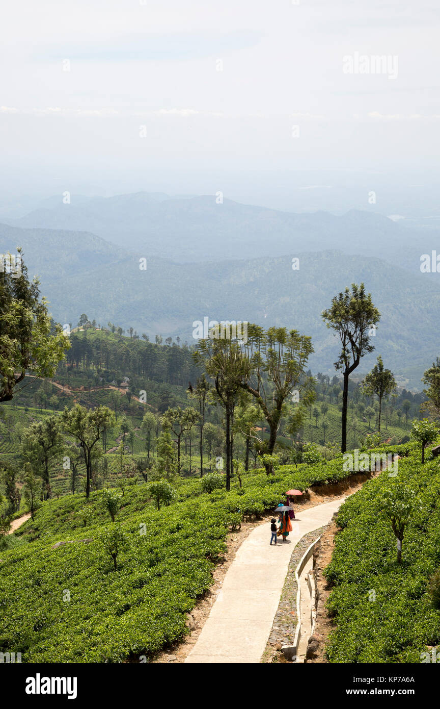 Badulla road hi-res stock photography and images - Alamy