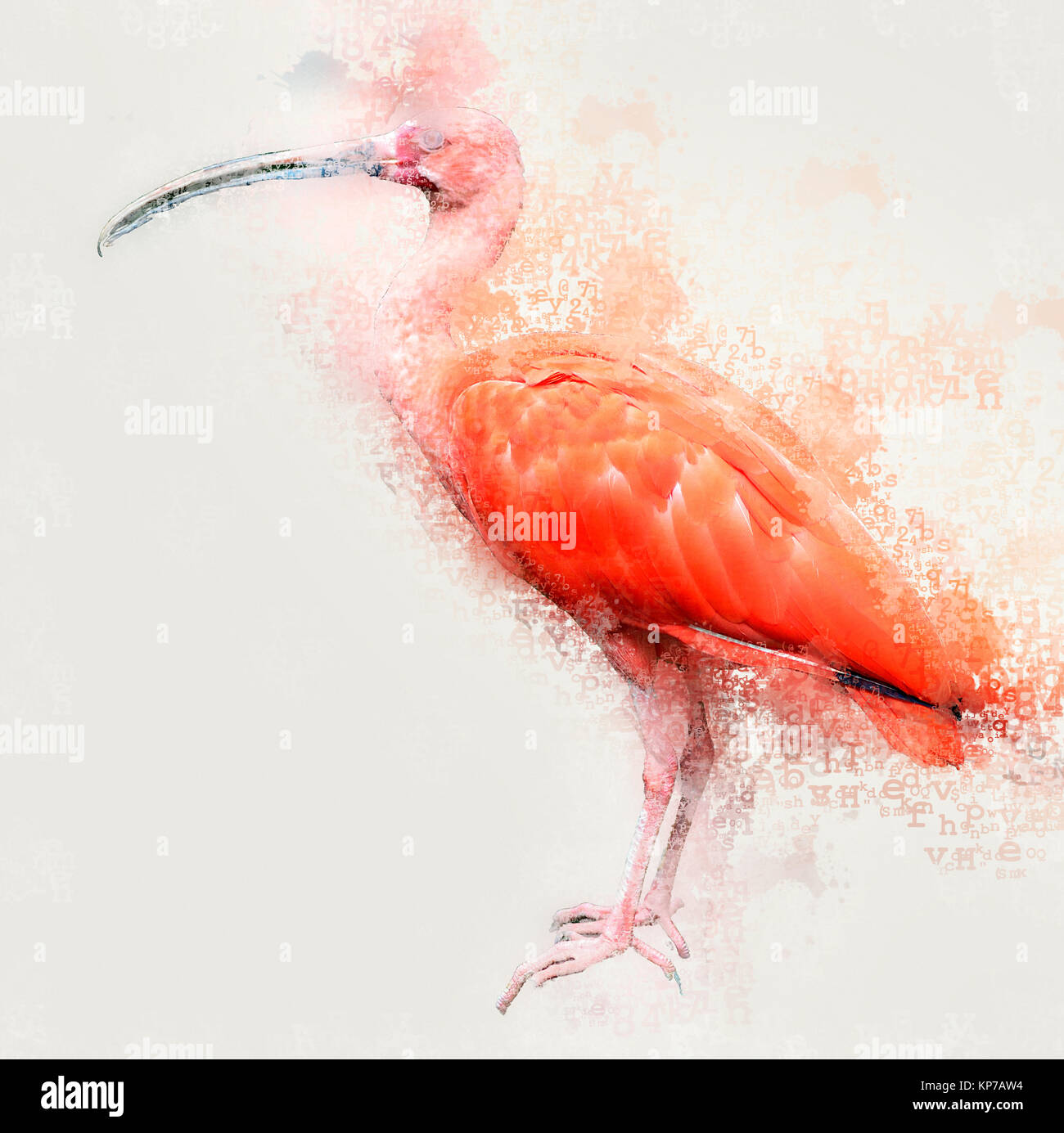 Drawing wildlife sketch hi-res stock photography and images - Alamy